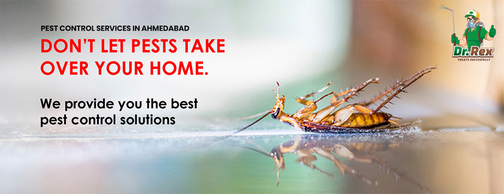 Pest Control Services in Ahmedabad, Gujarat, India