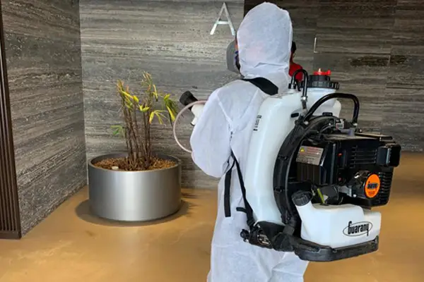 Pest Control Services in Ahmedabad, Gujarat, India